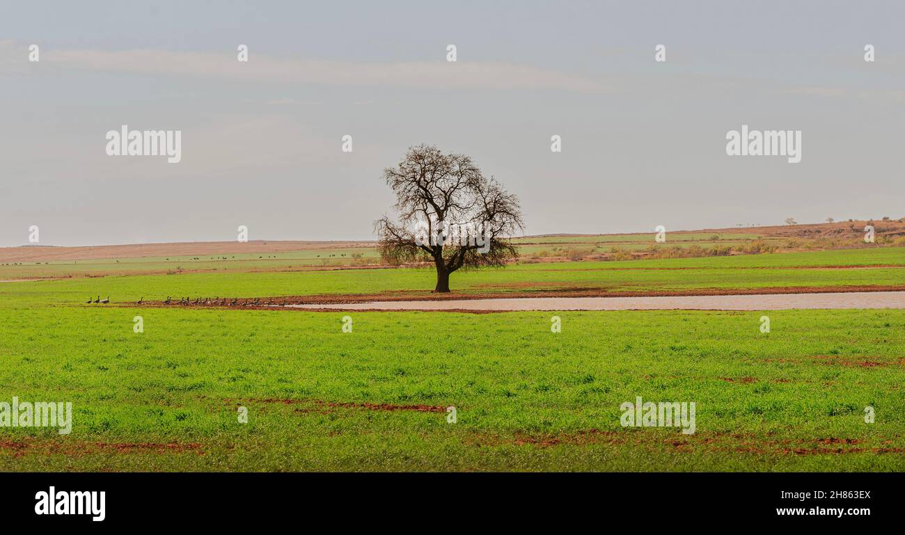 Rural texas town hi-res stock photography and images - Alamy