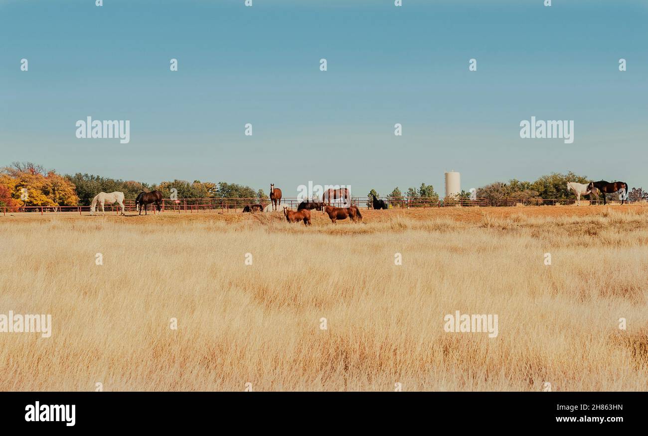 6666 ranch hi-res stock photography and images - Alamy