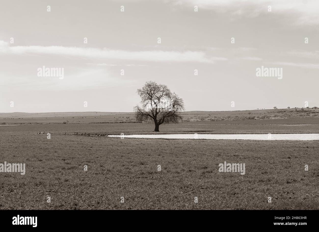 Rustic texas nature hi-res stock photography and images - Alamy
