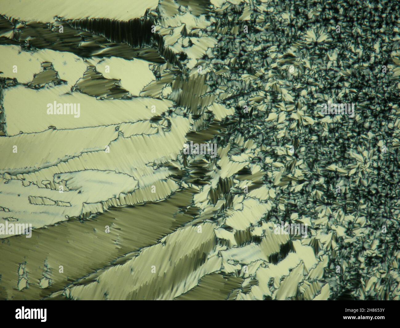 Polarized light microscope hi-res stock photography and images - Alamy