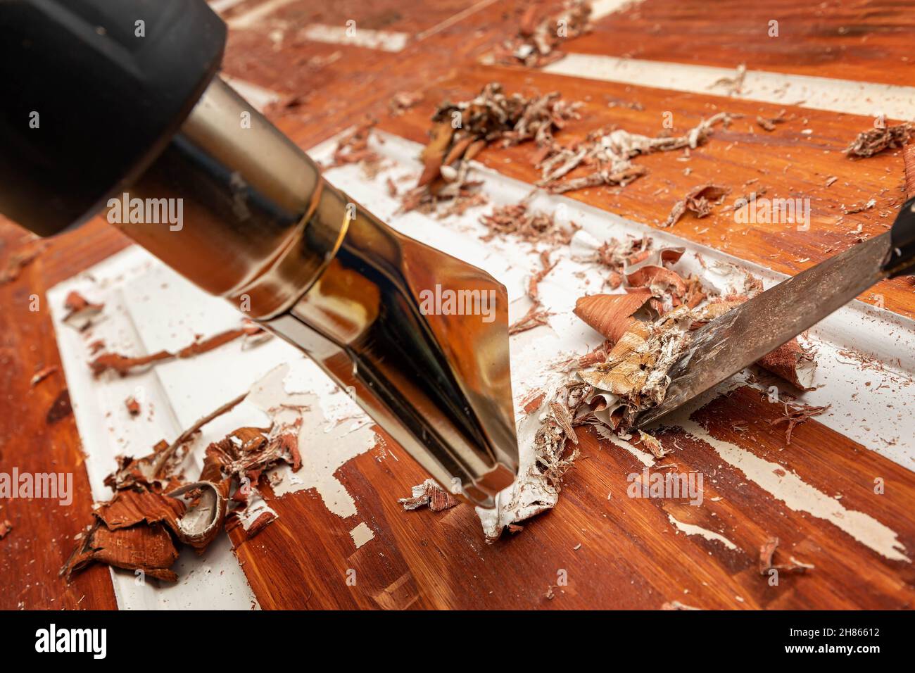 Electric Paint Scraper