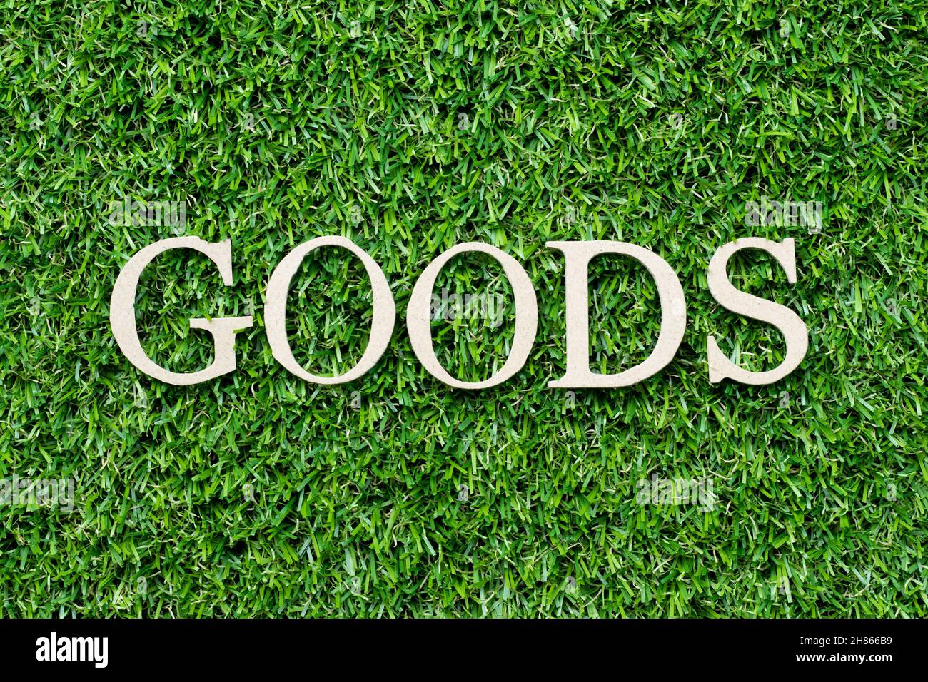 Wood alphabet letter in word goods on green grass background Stock ...