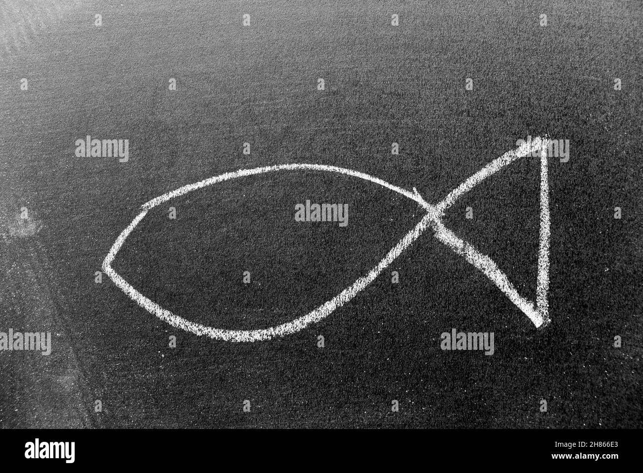 White color chalk hand drawing as fish shape on black board background ...