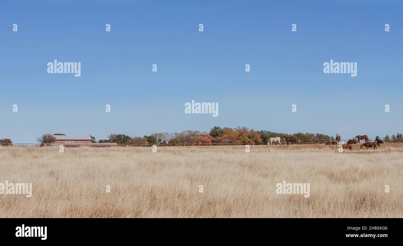 Four sixes ranch hi-res stock photography and images - Alamy