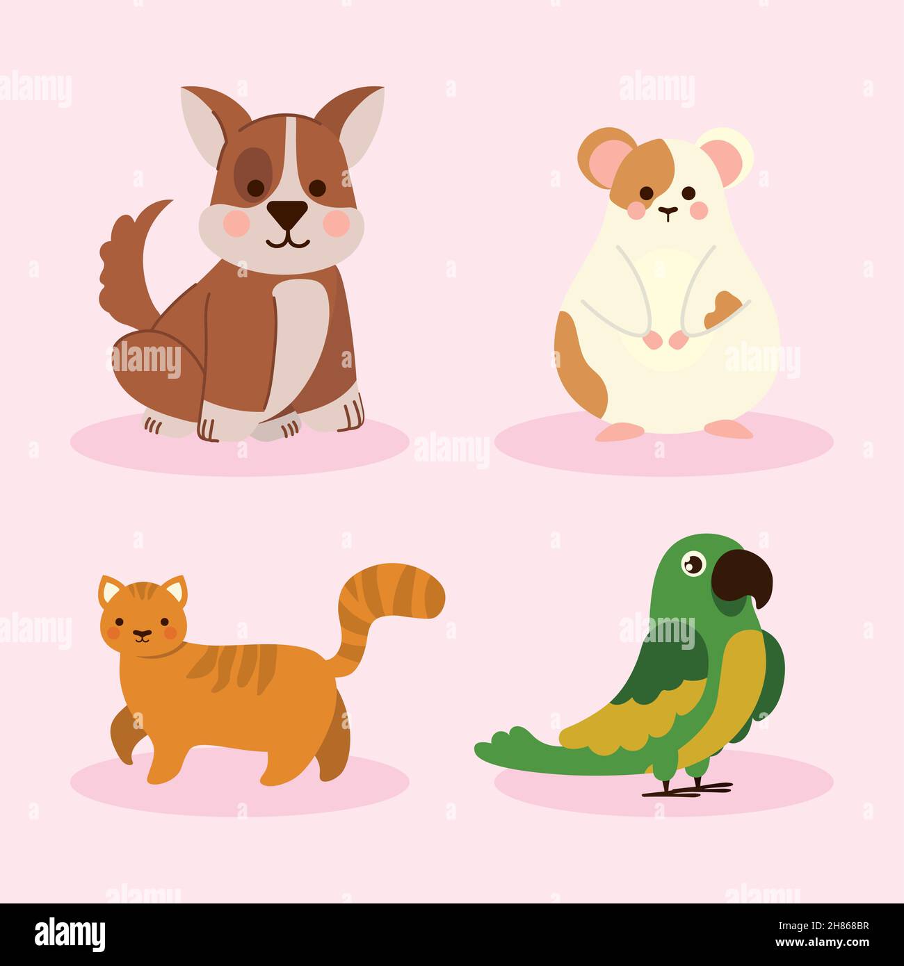 pets animals cartoon Stock Vector Image & Art - Alamy