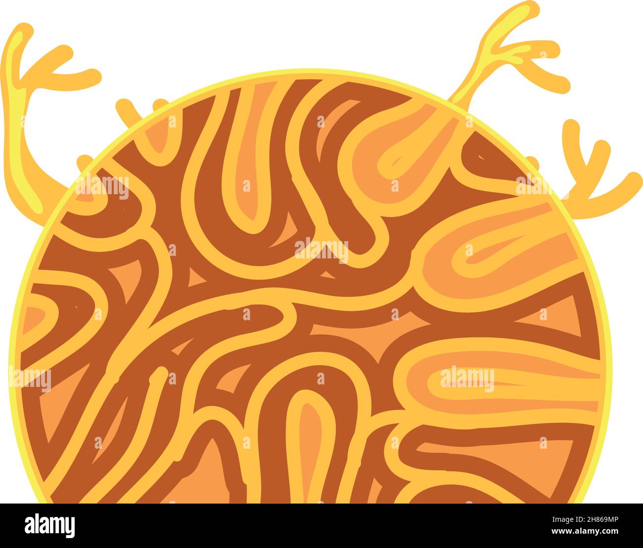 Unique coral ocean Cut Out Stock Images & Pictures - Alamy