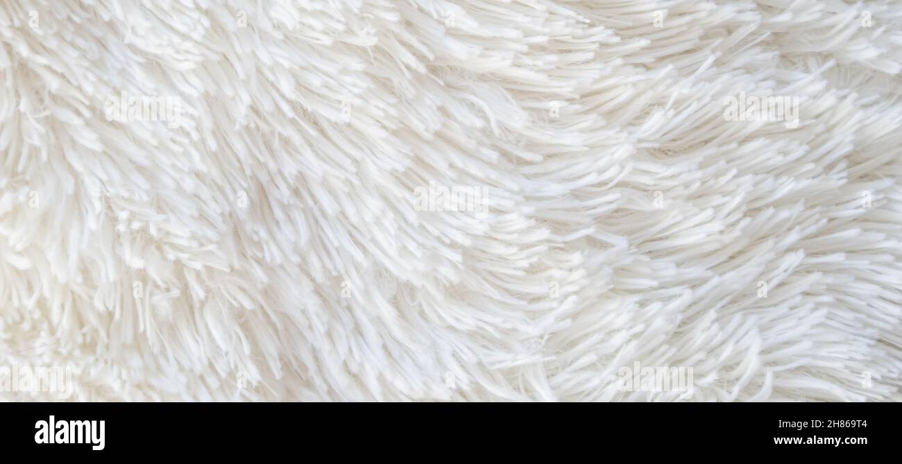 Long pile carpet texture. Abstract background of shaggy white fibers ...