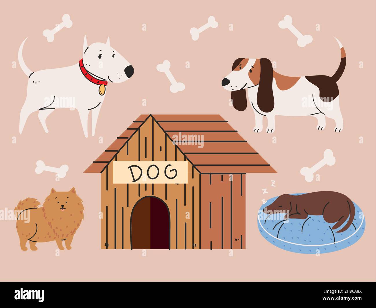 set of pets Stock Vector Image & Art - Alamy