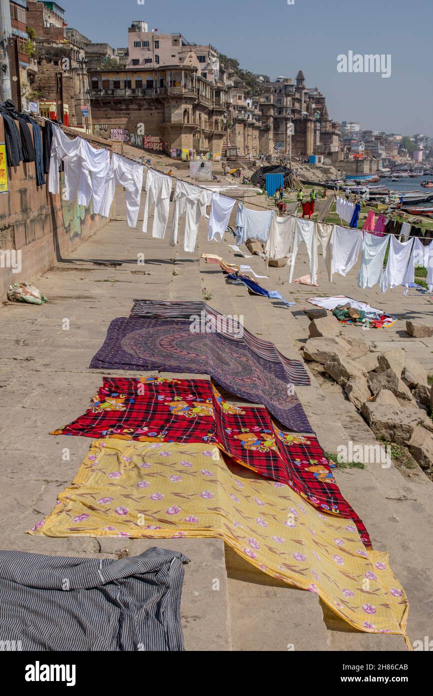 Laundry day on the Ganges river, Varanasi, Uttar Pradesh, India ...