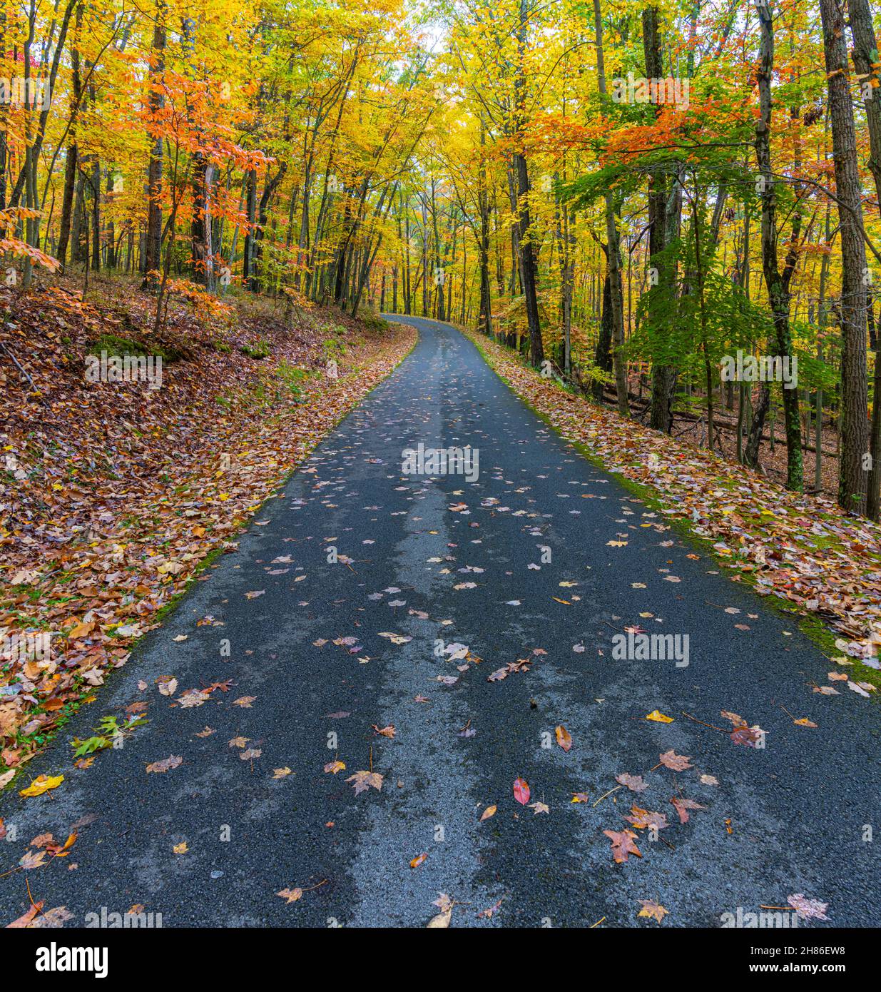 Autumn Pipestem State Park Top Places To Visit In West Virginia In The