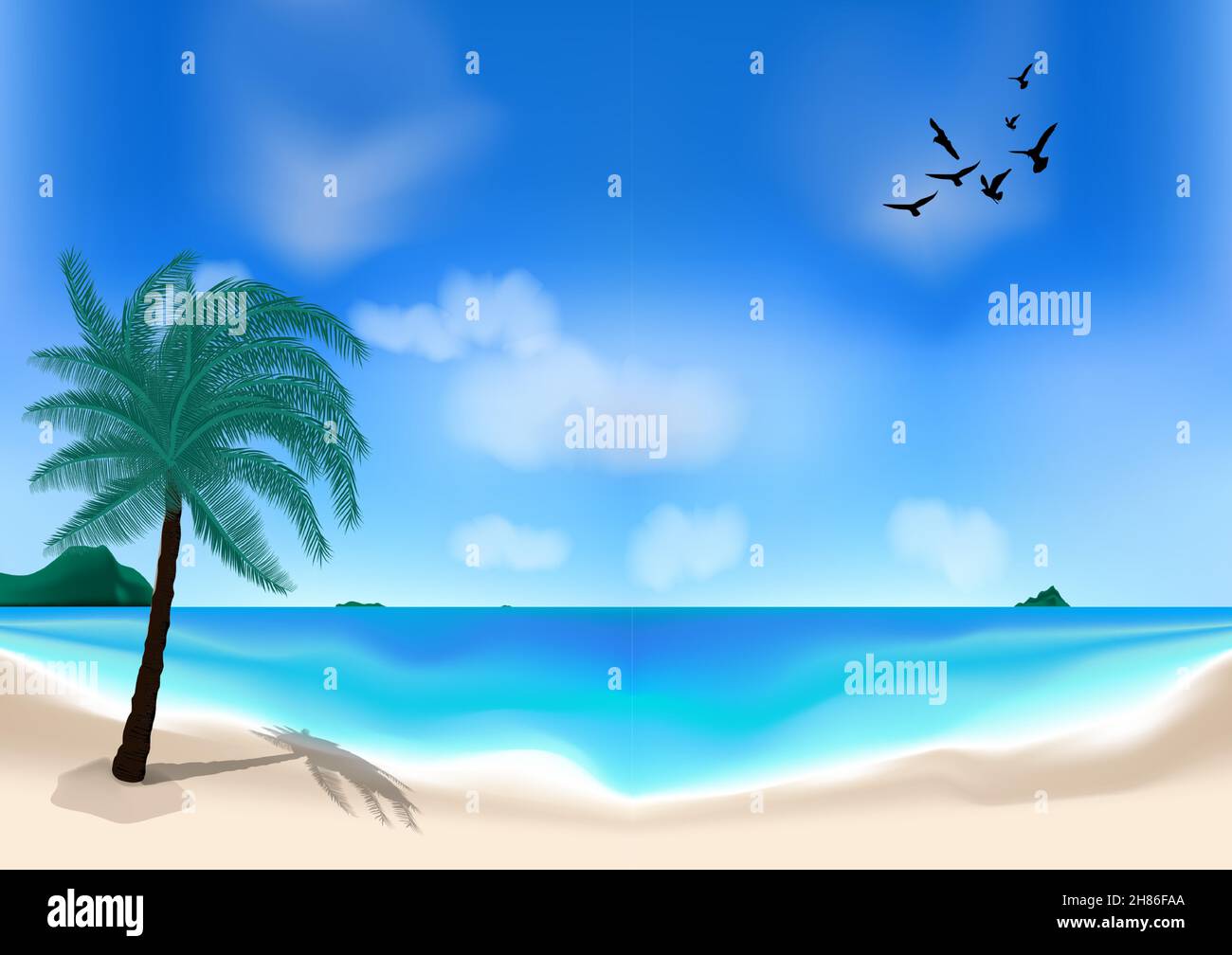 graphics drawing landscape view ocean and blue sky with palm vector ...