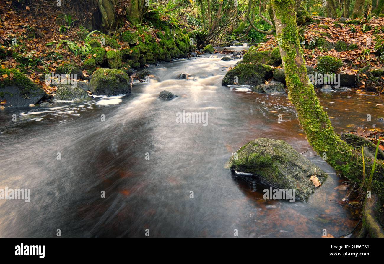 Environment water ireland hi-res stock photography and images - Alamy