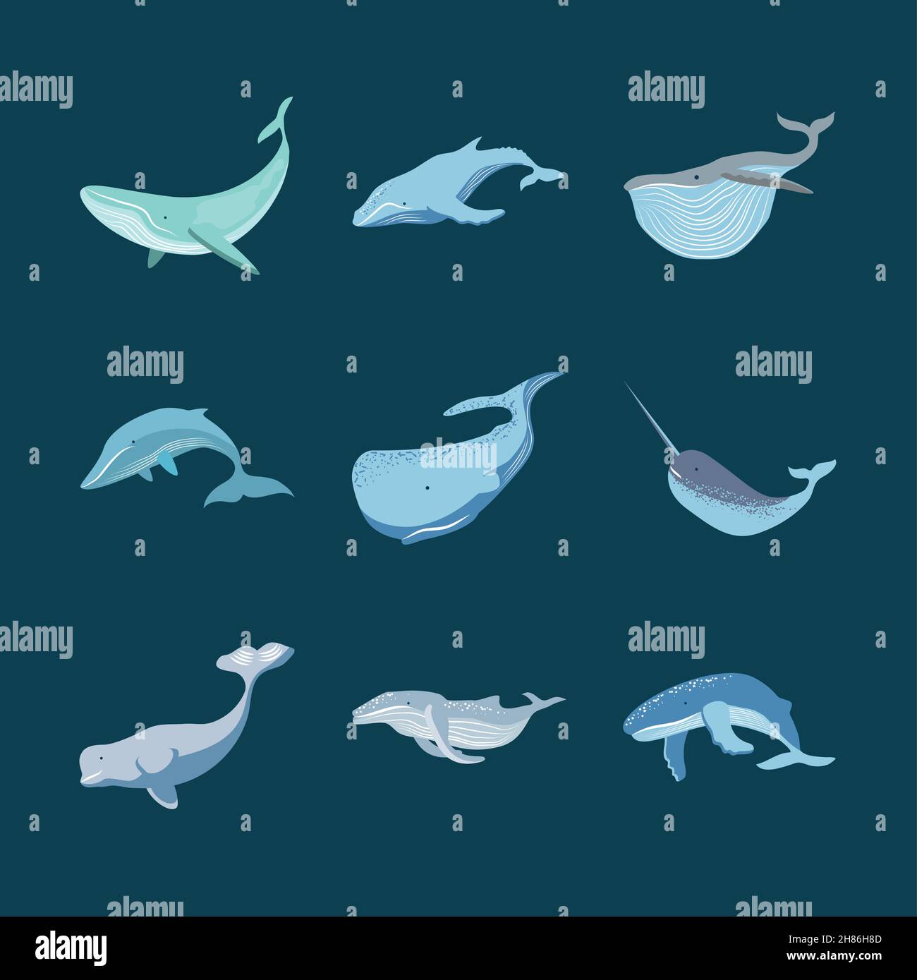 set of whales Stock Vector Image & Art - Alamy