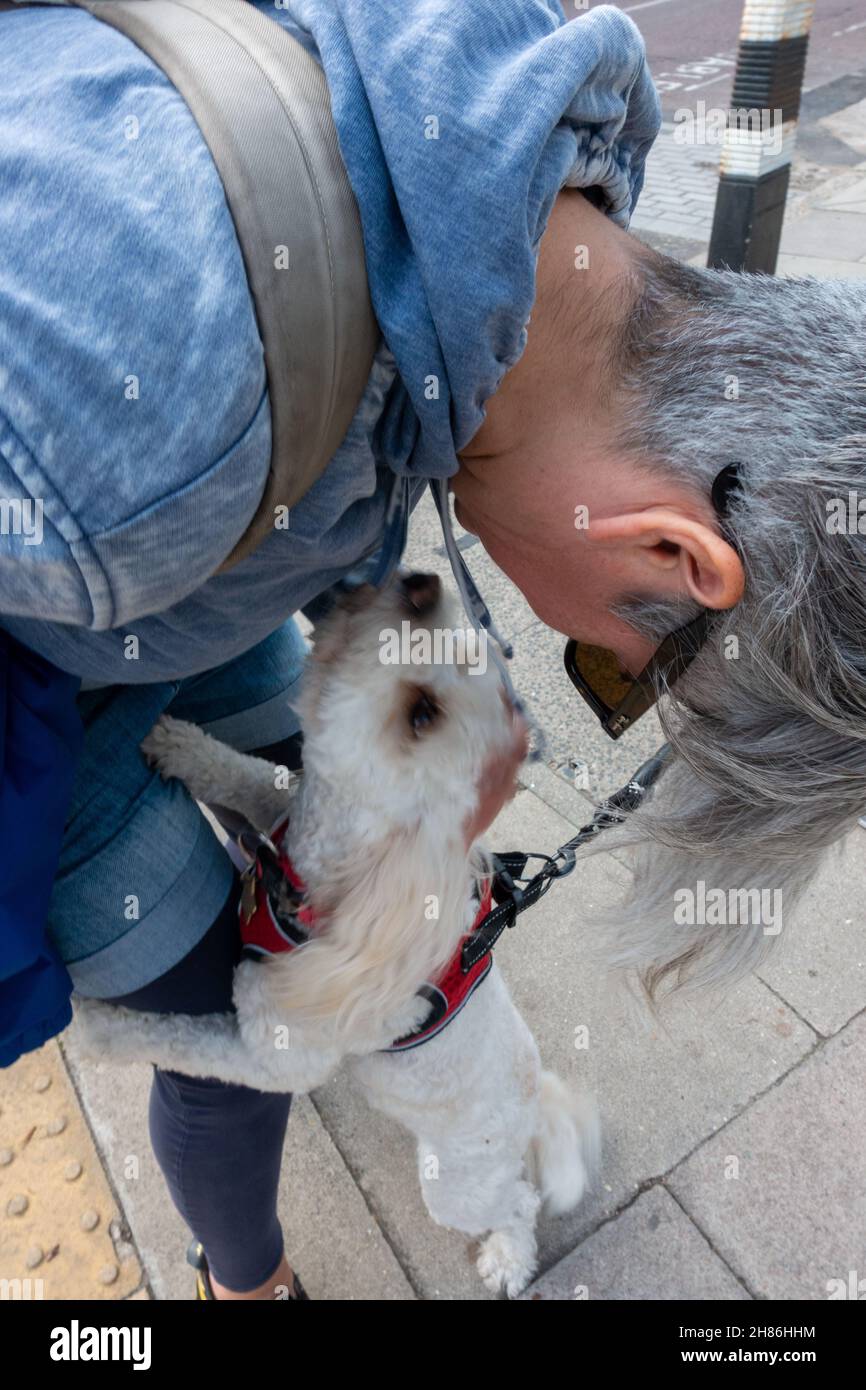 young woman with pleading puppy Stock Photo - Alamy