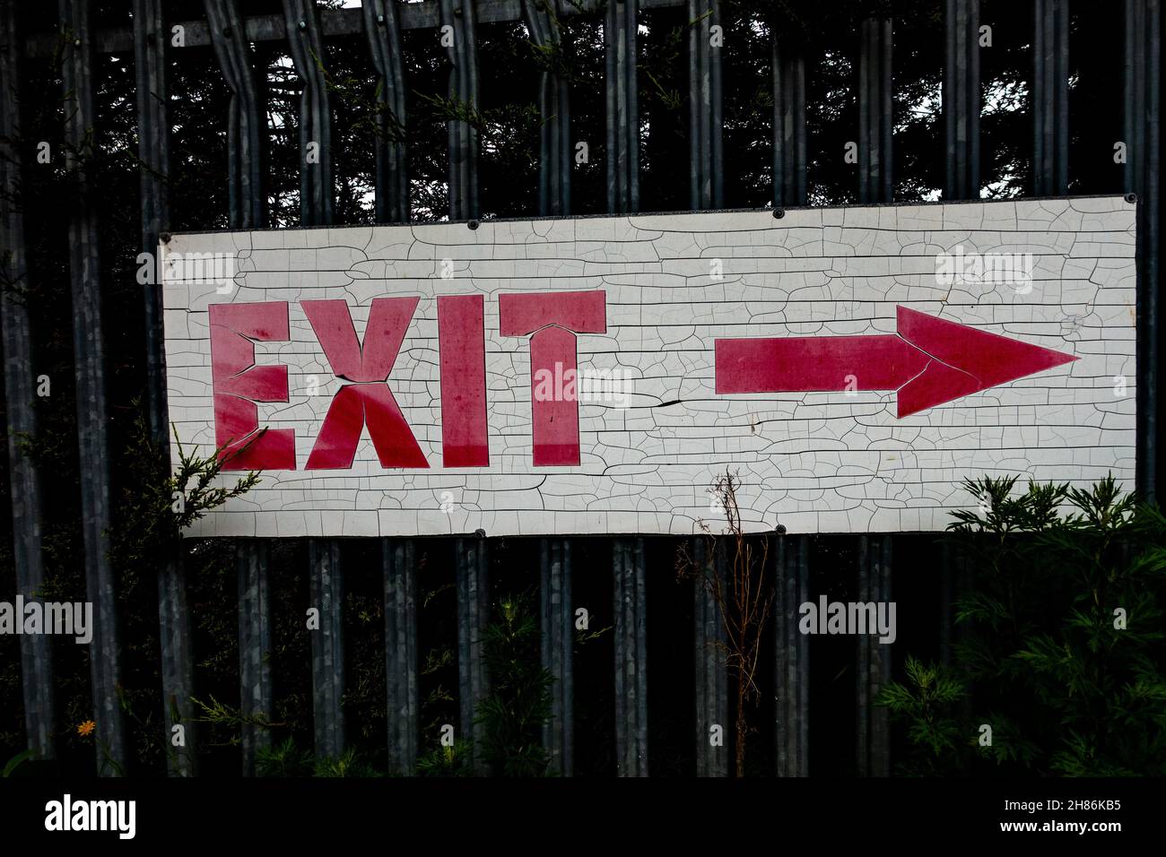 exit sign mounted on security railings Stock Photo - Alamy