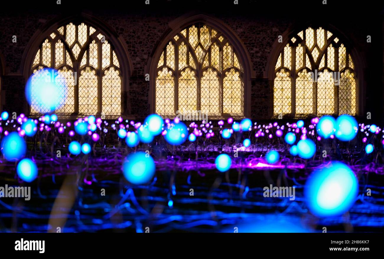 1,000 stems of colour-changing lights on display in the cloisters of ...
