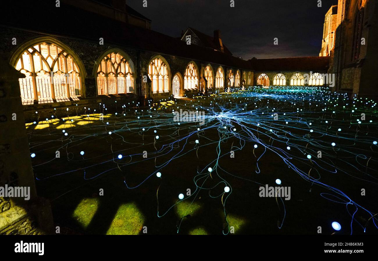 1,000 stems of colour-changing lights on display in the cloisters of ...