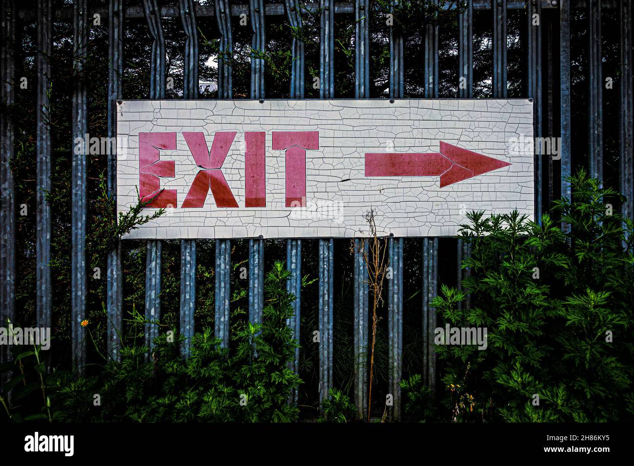 exit sign mounted on security railings Stock Photo - Alamy