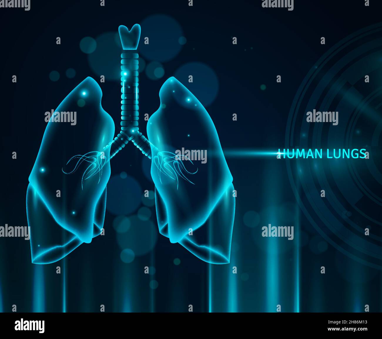Transparent human lungs in blue color background with light effects and ...