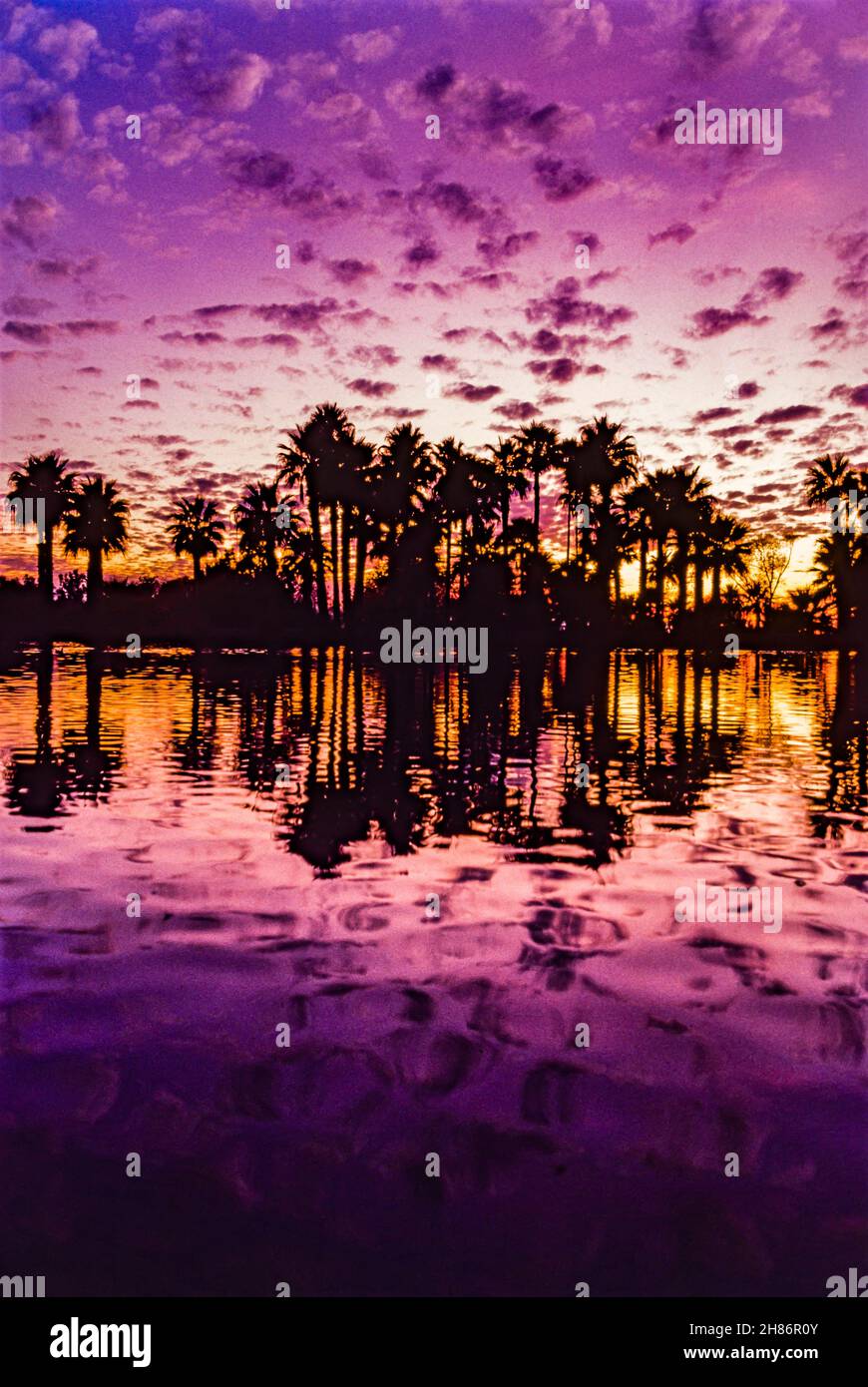Papago park ponds hi-res stock photography and images - Alamy