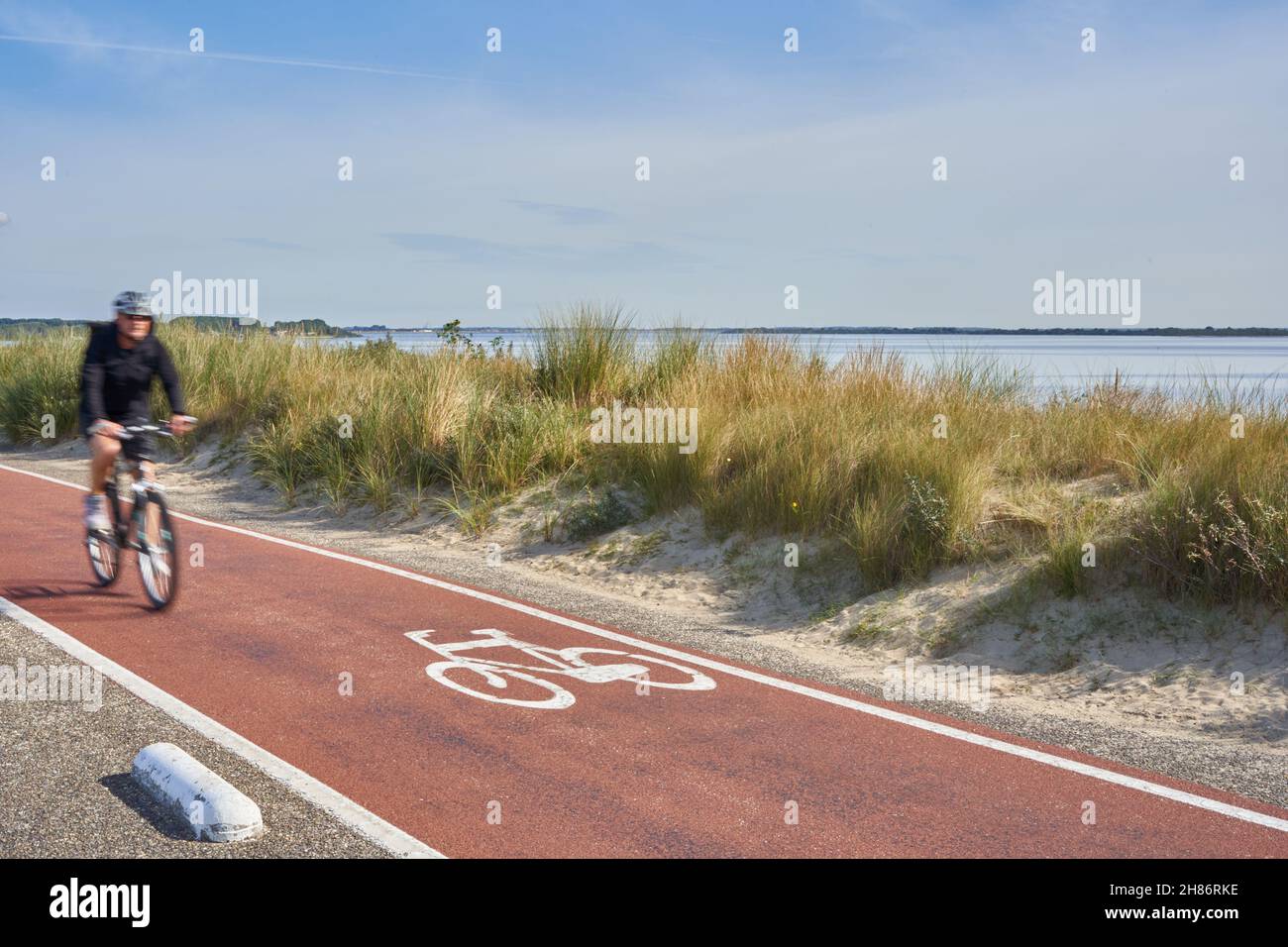 Bicycle path in the Netherlands. Dune with grass in front of a blue sea ...