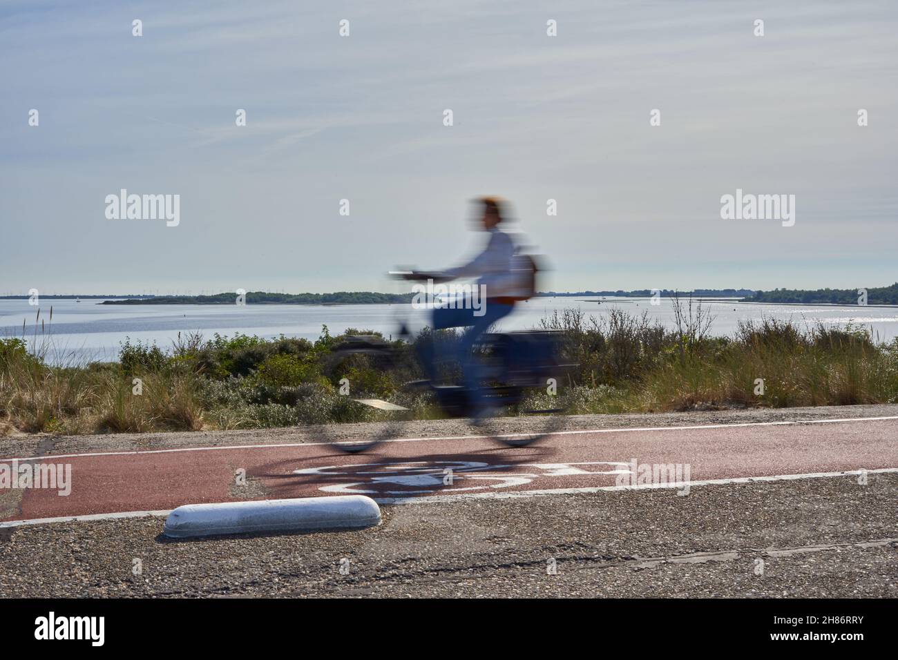 Dutch bike path on a dam with green plants in front of the sea. 1 man ...