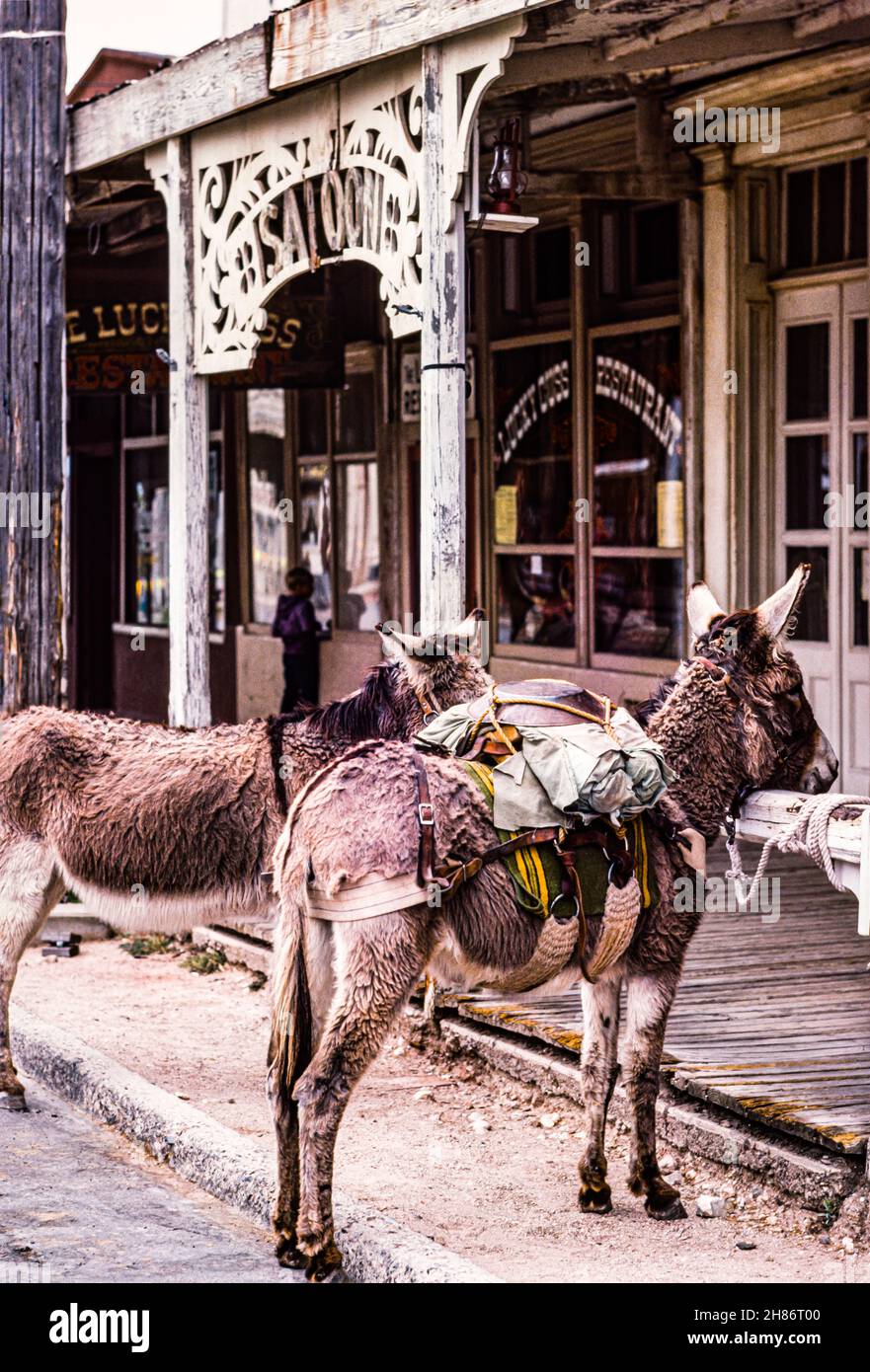 Contention mine arizona hi-res stock photography and images - Alamy