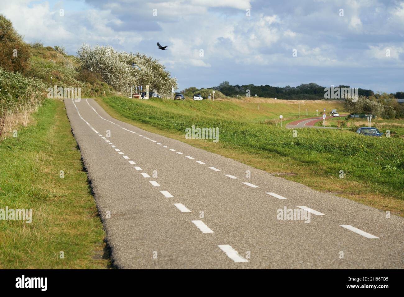 Bicycle lane in the Netherlands. Gray pavement with white markings ...