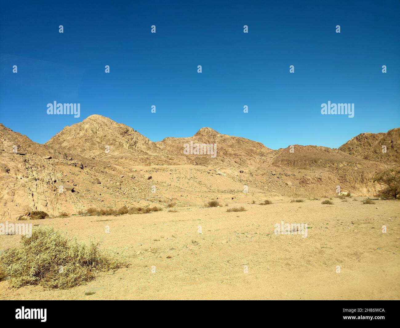 Sinai desert backgound with mountains, deserted landscape Stock Photo ...