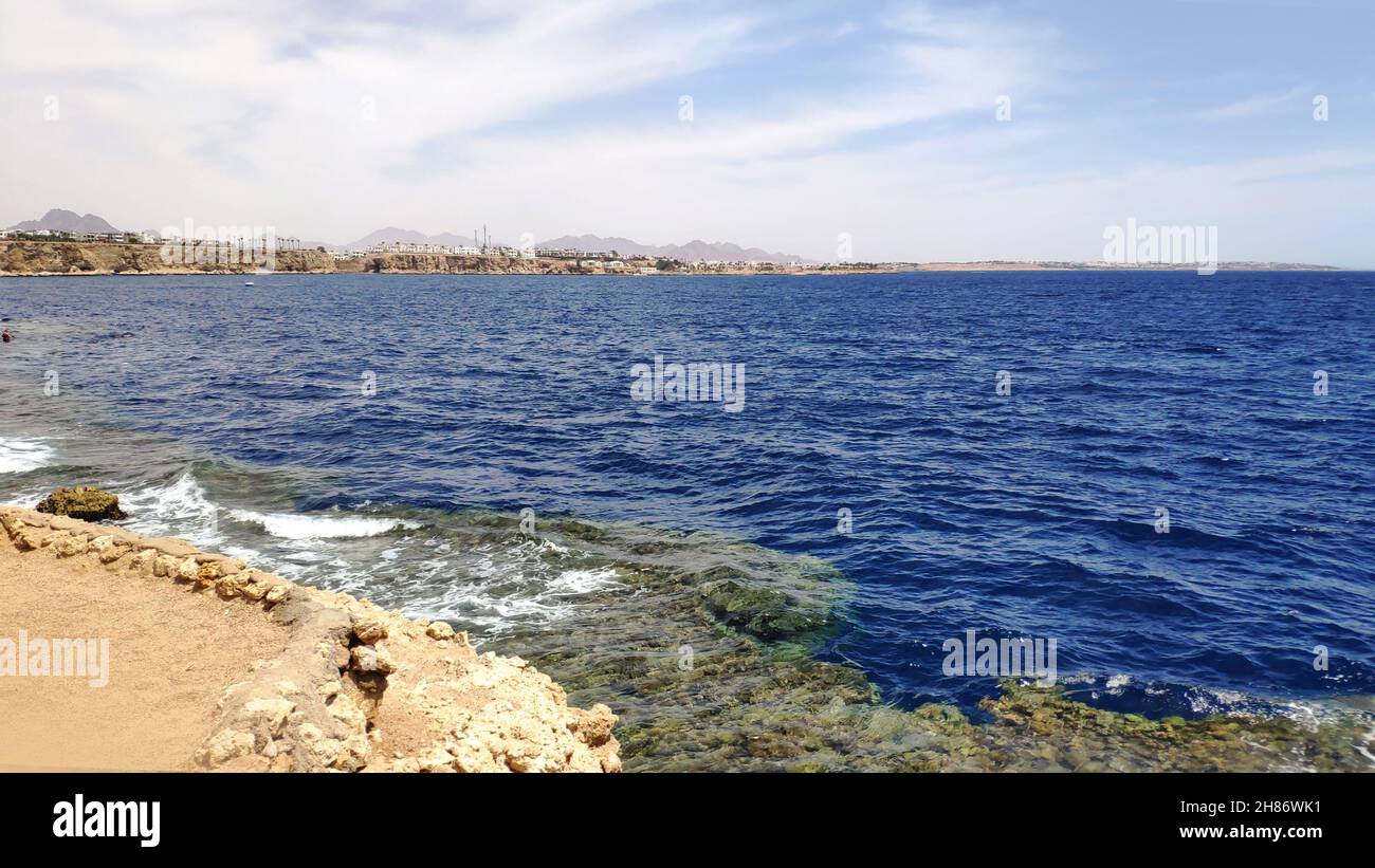 Red sea in summer, Egypt wallpaper background, marine seascape Stock ...