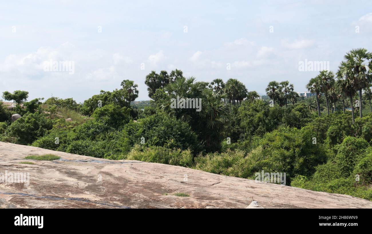 The beautiful cliff slope is beautiful to see the natural trees Stock ...