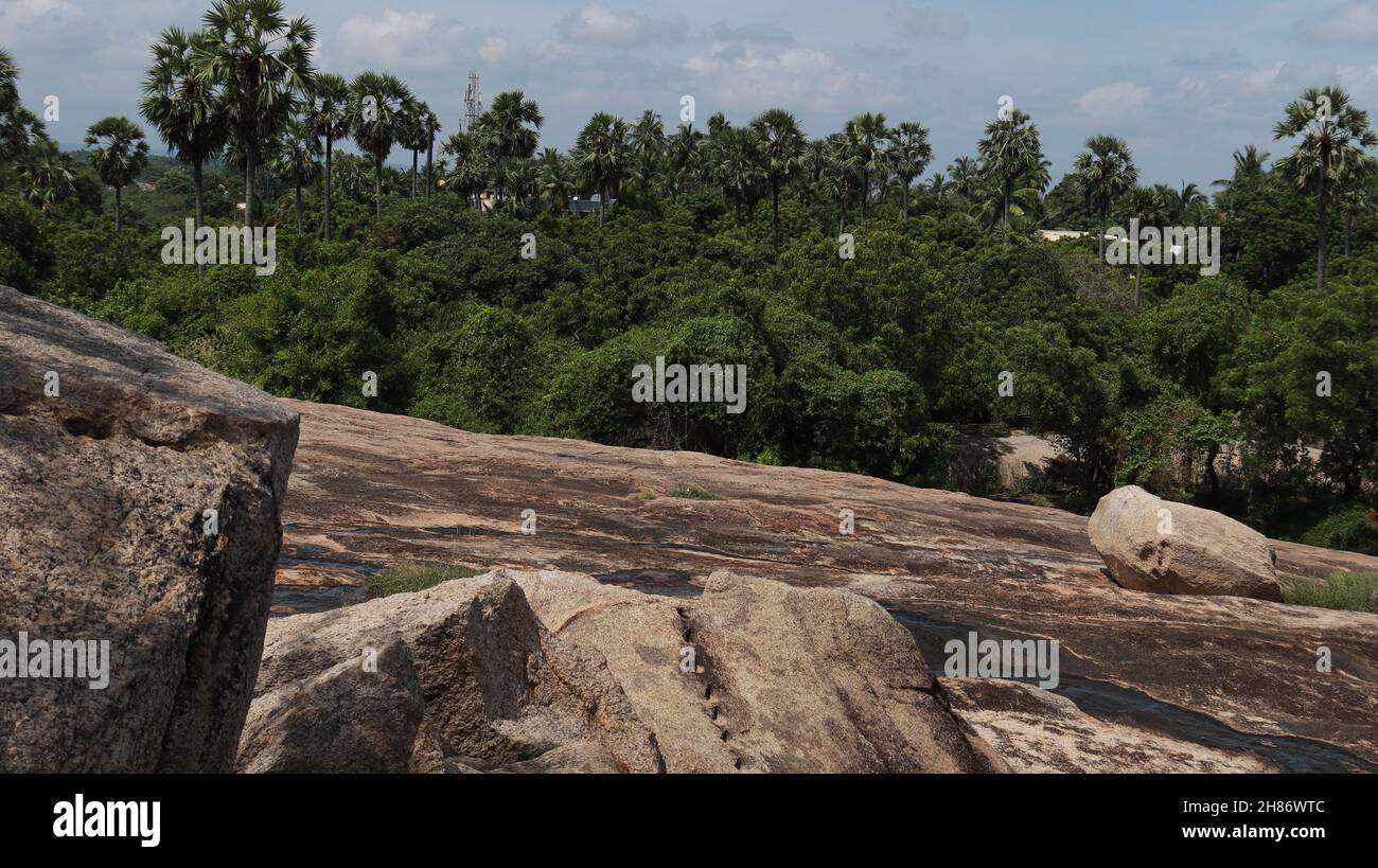 The beautiful cliff slope is beautiful to see the natural trees and the ...