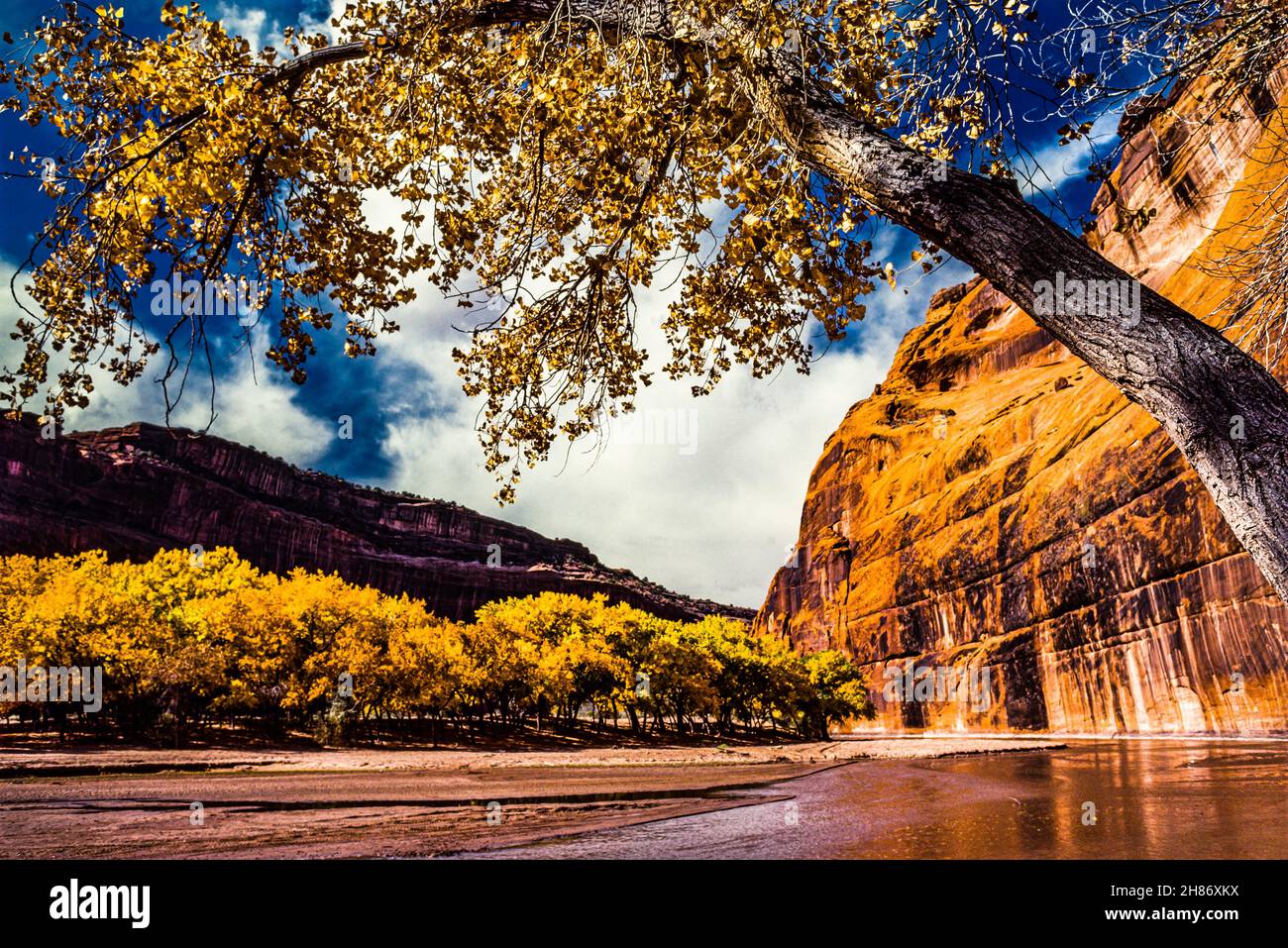 Four corners region hi-res stock photography and images - Alamy