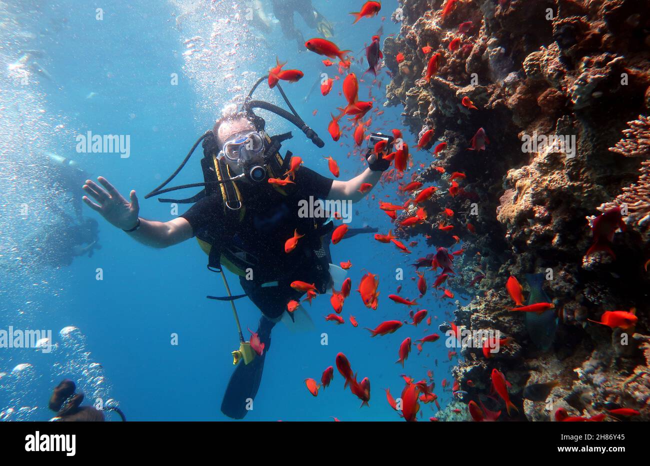 Camera underwater filming hi-res stock photography and images - Alamy