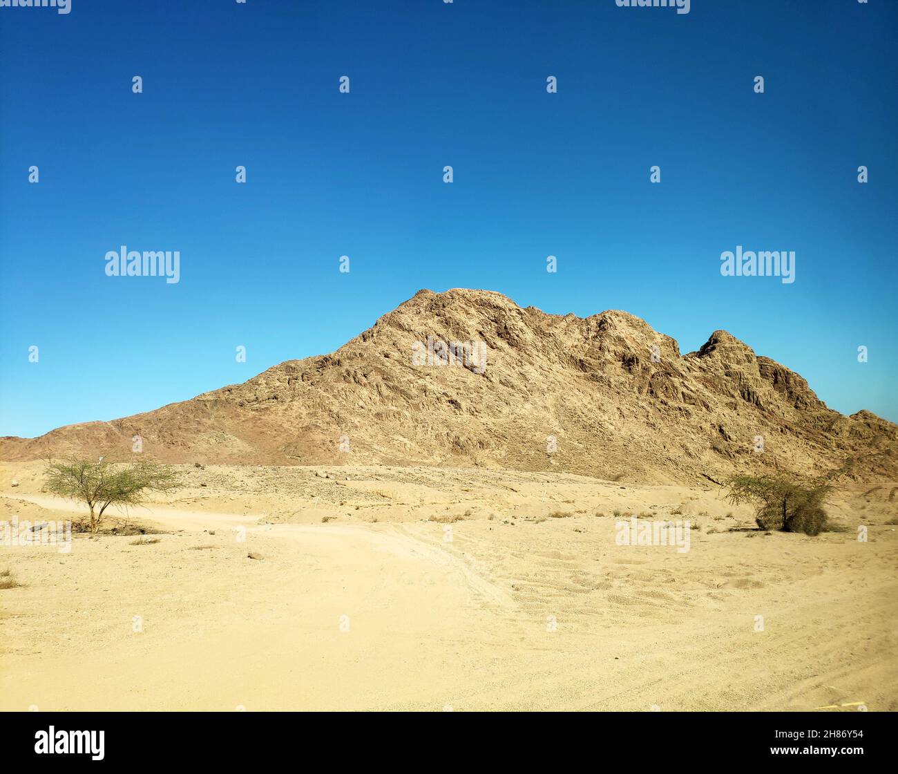 Sinai mountain hi-res stock photography and images - Alamy