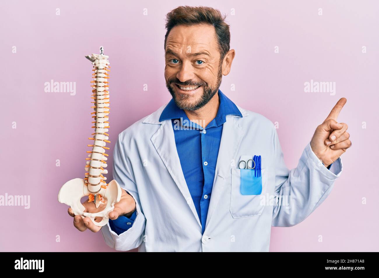 Doctor showing anatomical spine hi-res stock photography and images - Alamy