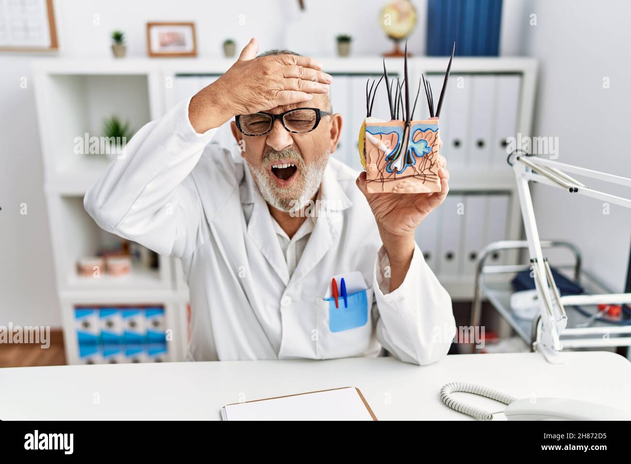 Mature doctor man holding model of human anatomical skin and hair ...