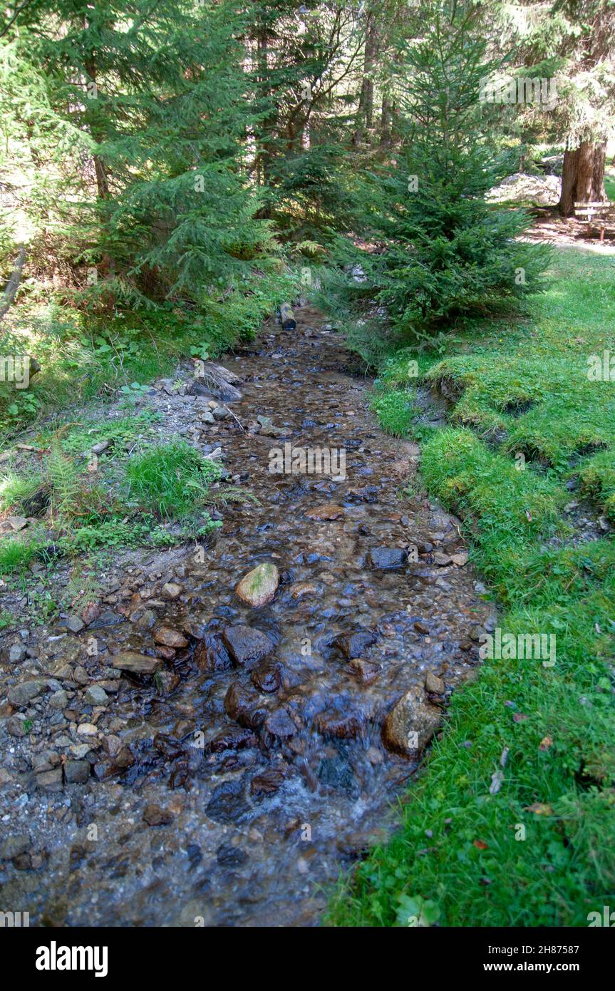 Flowing stream bubbling spring hi-res stock photography and images - Alamy