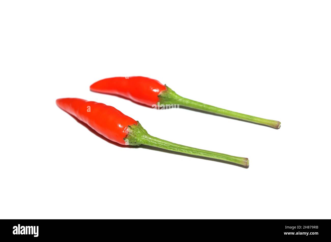 Harvest red hot peppers Cut Out Stock Images & Pictures - Alamy