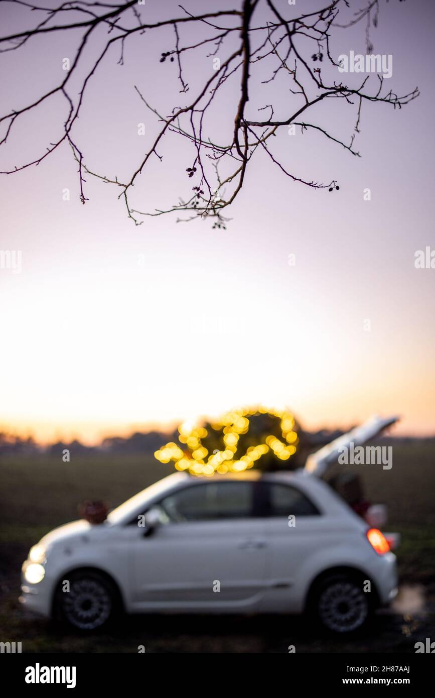 Car with Christmas tree on a rooftop on nature Stock Photo - Alamy