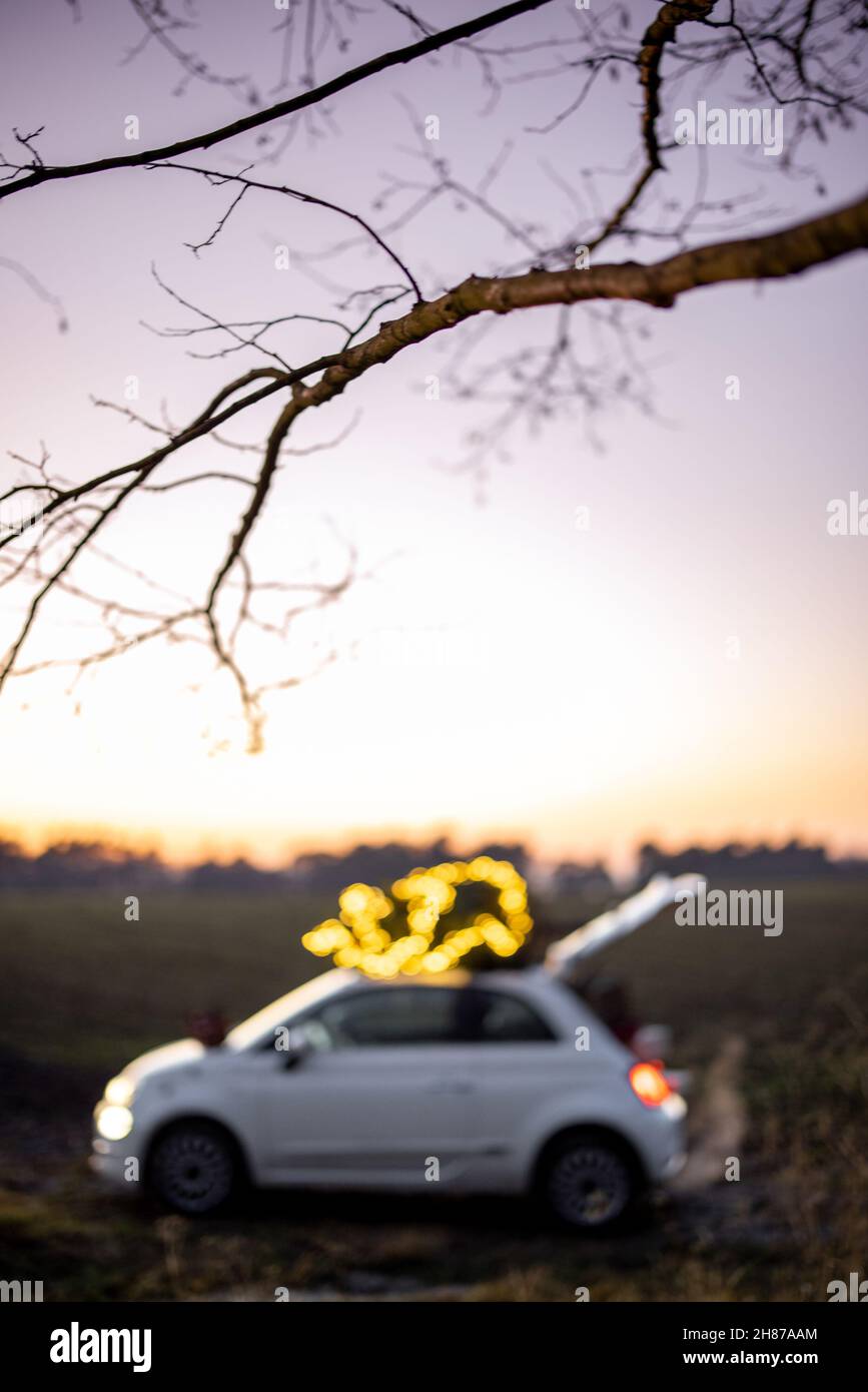 Car with Christmas tree on a rooftop on nature Stock Photo - Alamy