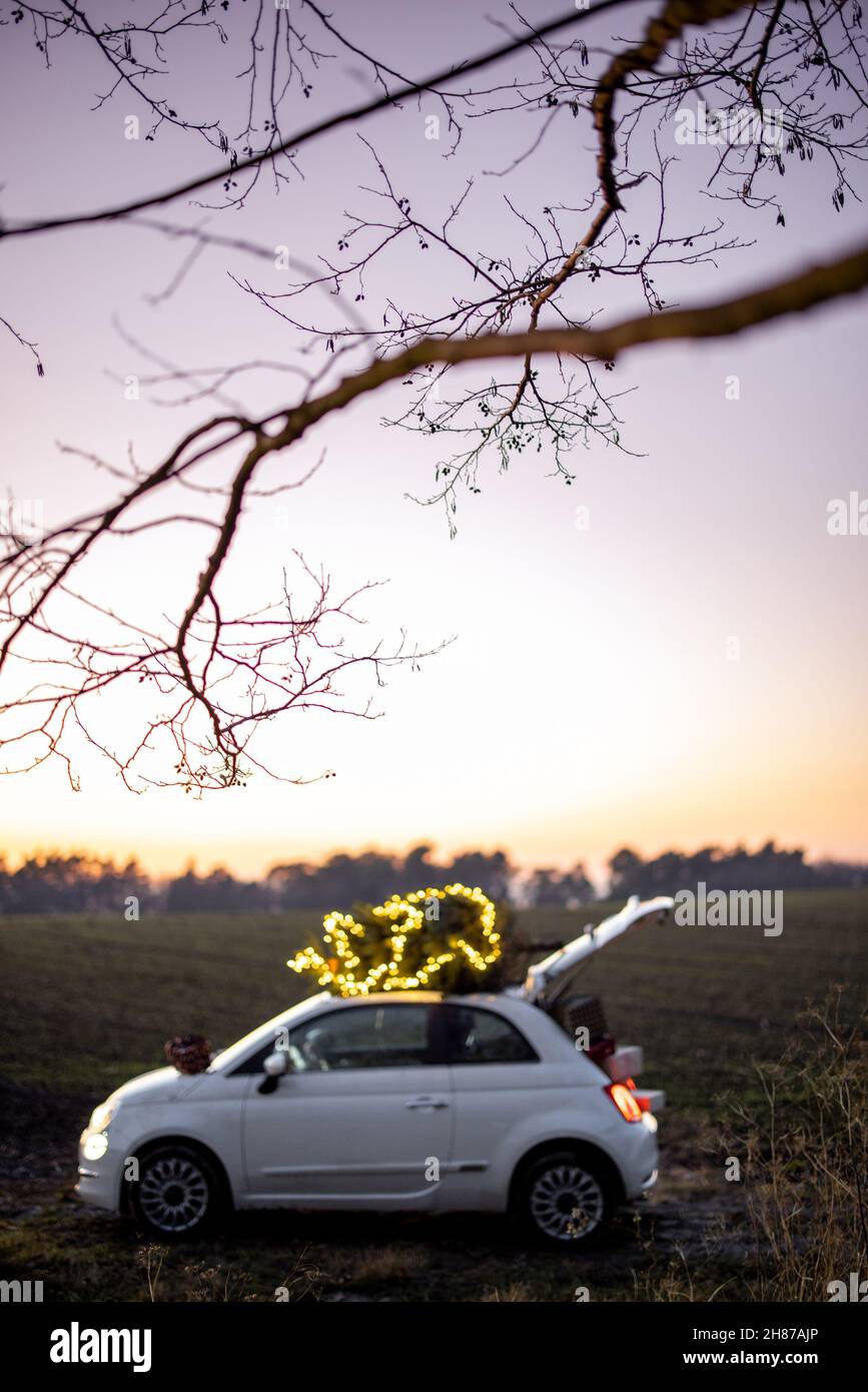 Car with Christmas tree on a rooftop on nature Stock Photo - Alamy