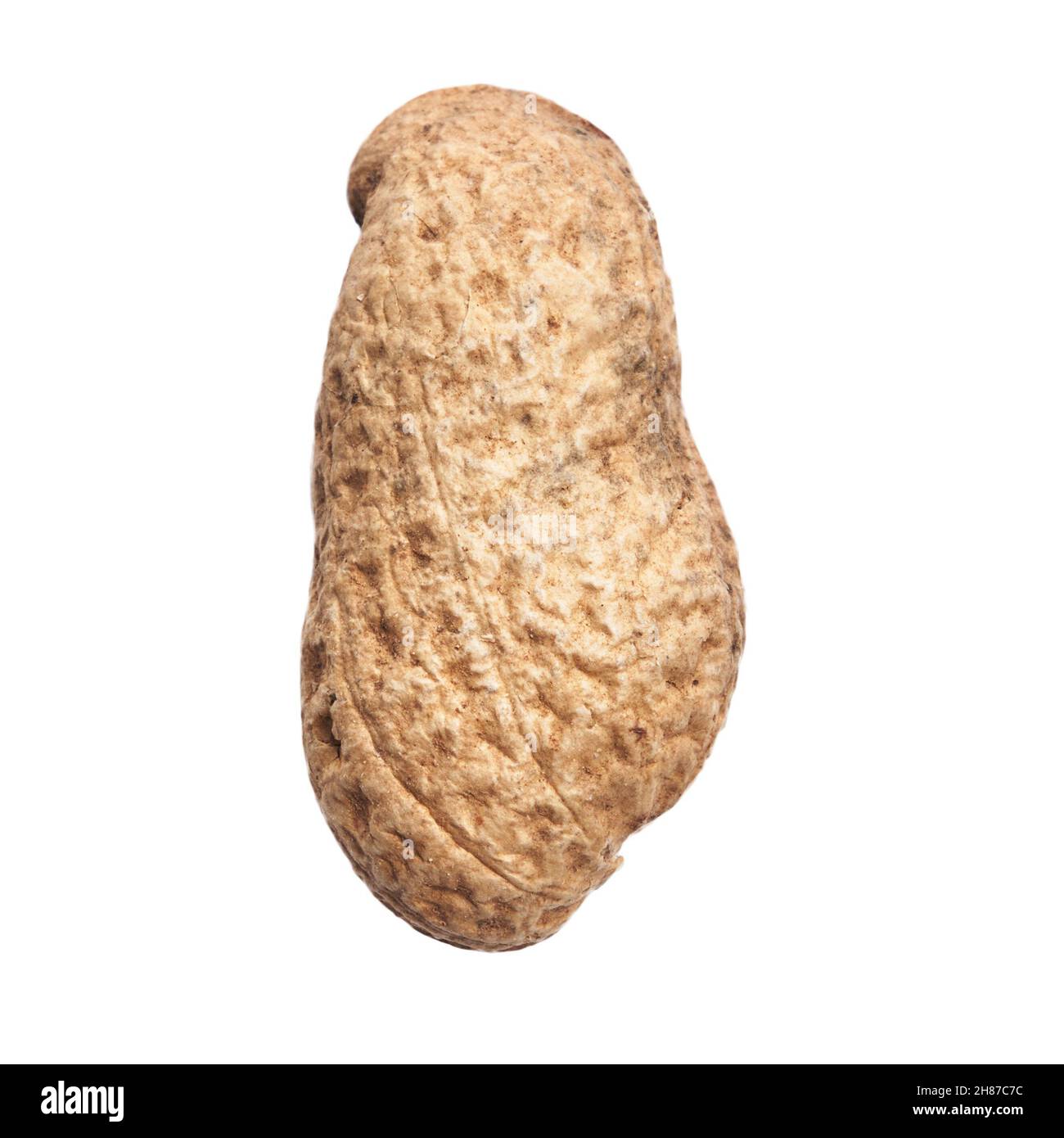 Single peanut with shell isolated on a white background Stock Photo - Alamy