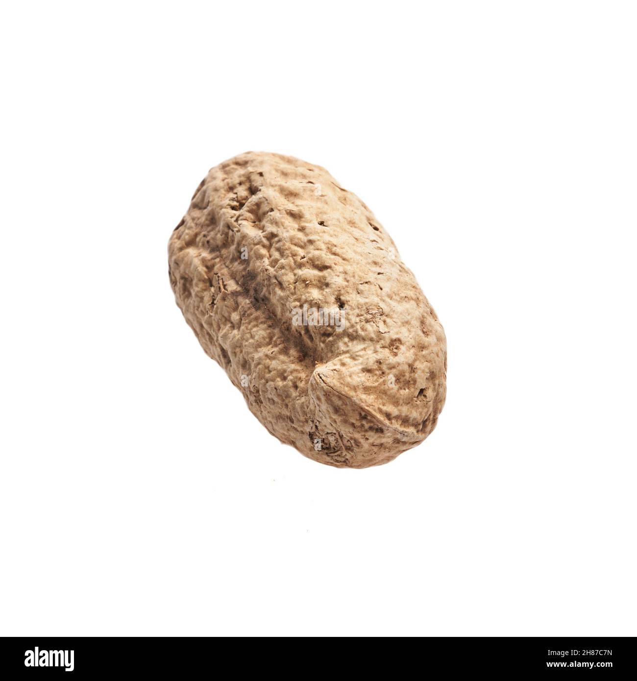Single peanut with shell isolated on a white background Stock Photo - Alamy