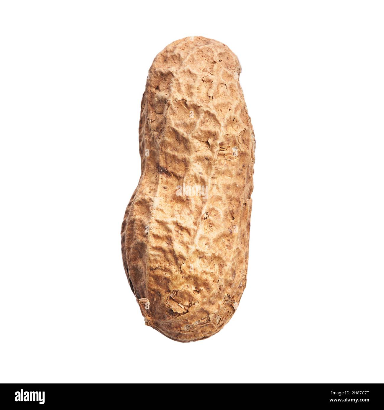 Single peanut with shell isolated on a white background Stock Photo - Alamy