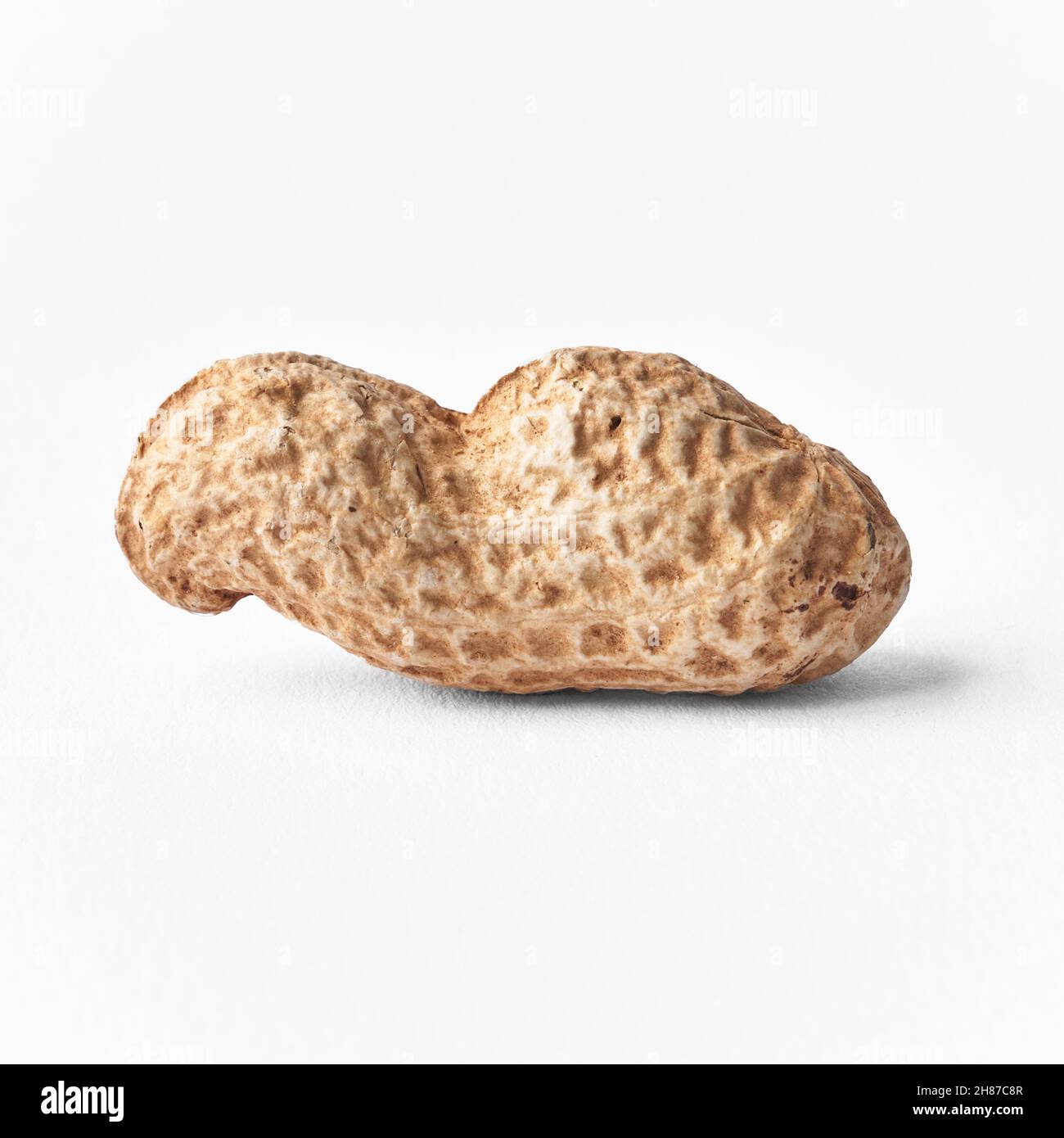 Single peanut with shell isolated on a white background Stock Photo - Alamy