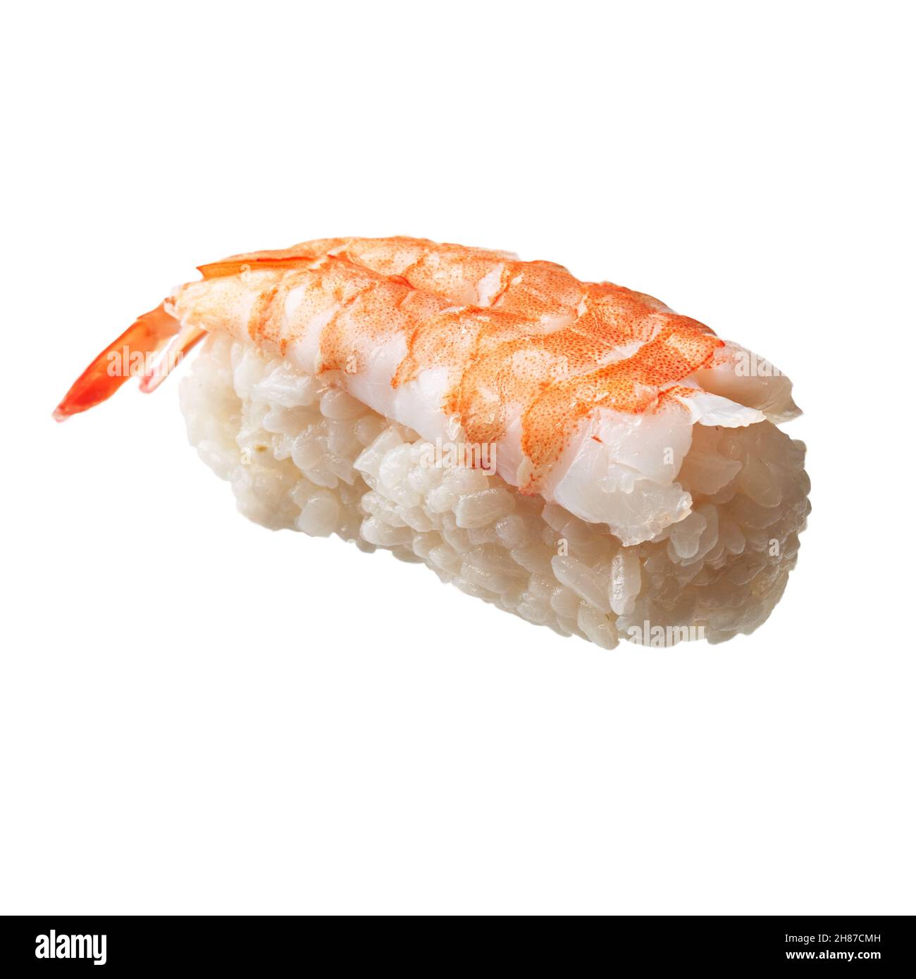 Single shrimp nigiri sushi isolated on white background Stock Photo - Alamy