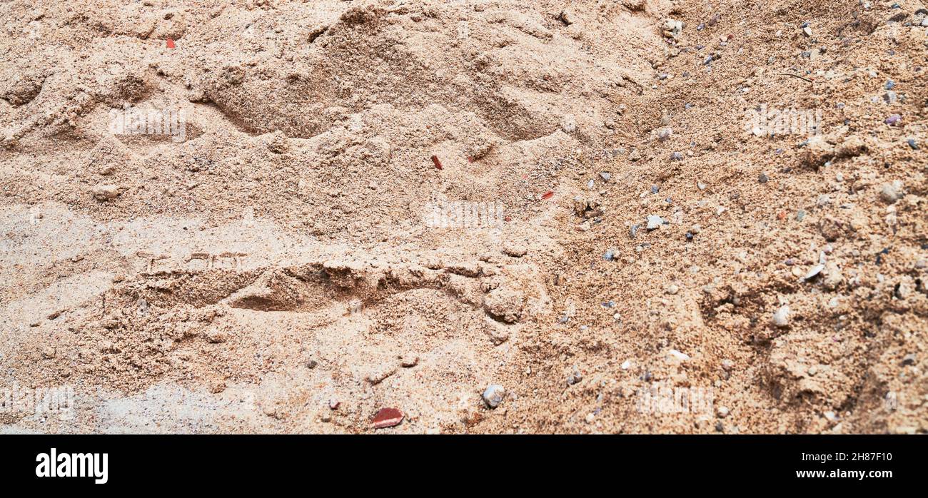 Beautiful ground texture image Stock Photo - Alamy