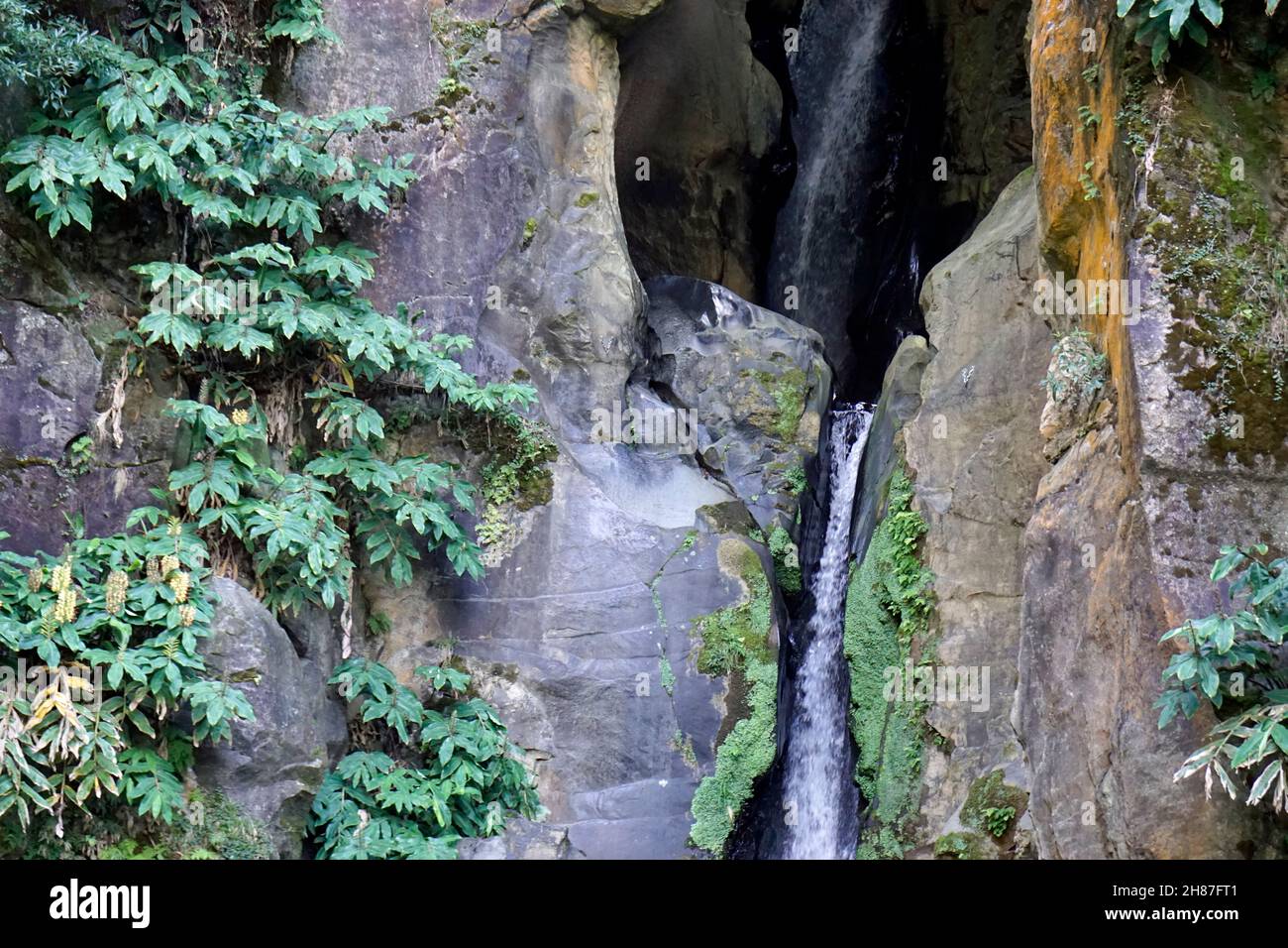 waterfall on the azores island sao miguel Stock Photo - Alamy