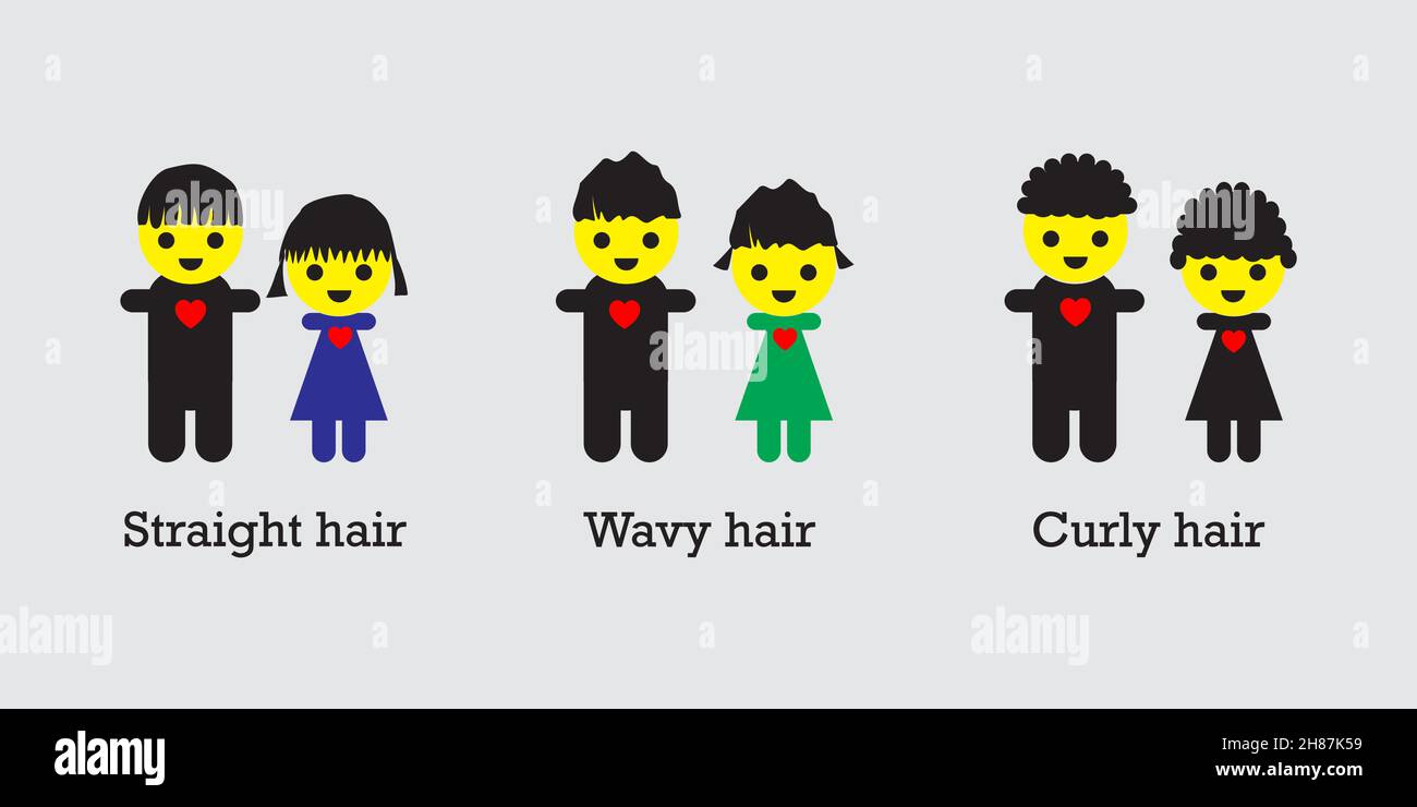 Educational props, human hair type Stock Vector Image & Art - Alamy